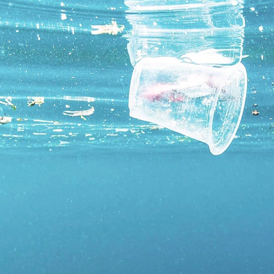 How to cut down on plastic in bathroom and kitchen – Ha-Ra Australia